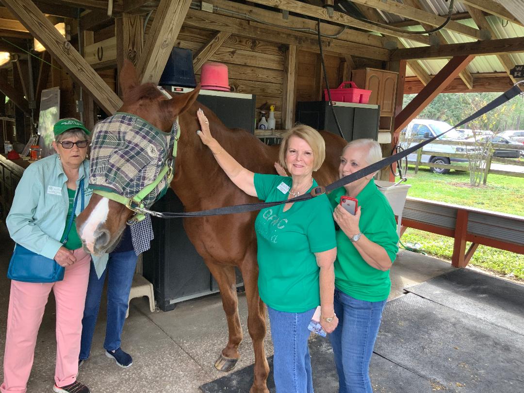 GFWC LUTZ-LAND O'LAKES WOMAN'S CLUB TOURED QUANTUM LEAP FARM - GFWC ...